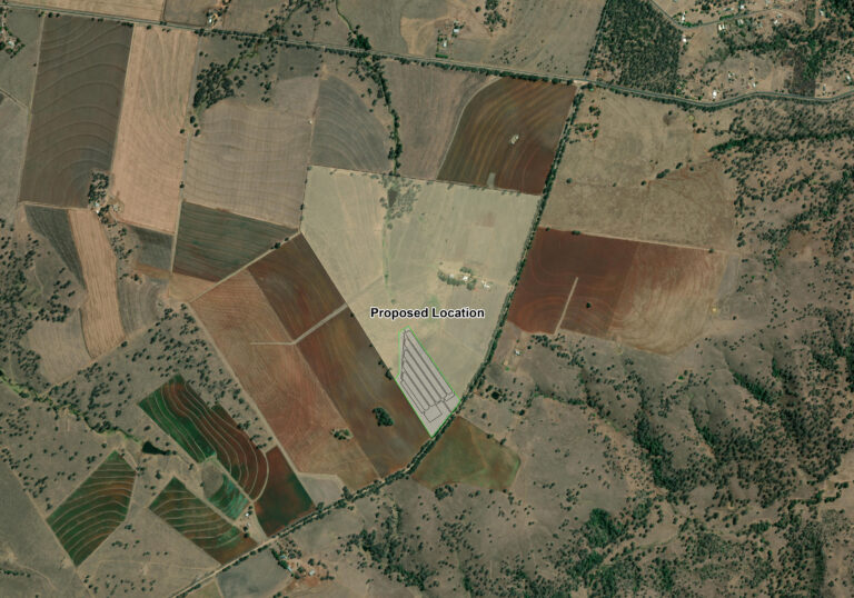 South Burnett Bess - X-ELIO